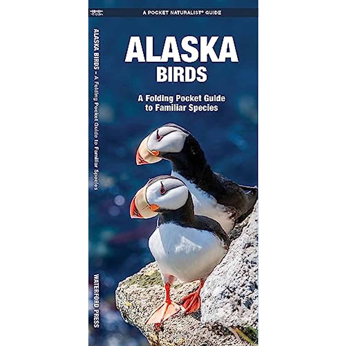 Alaska Birds: A Folding Pocket Guide to Familiar Species (Nature Observation North America)