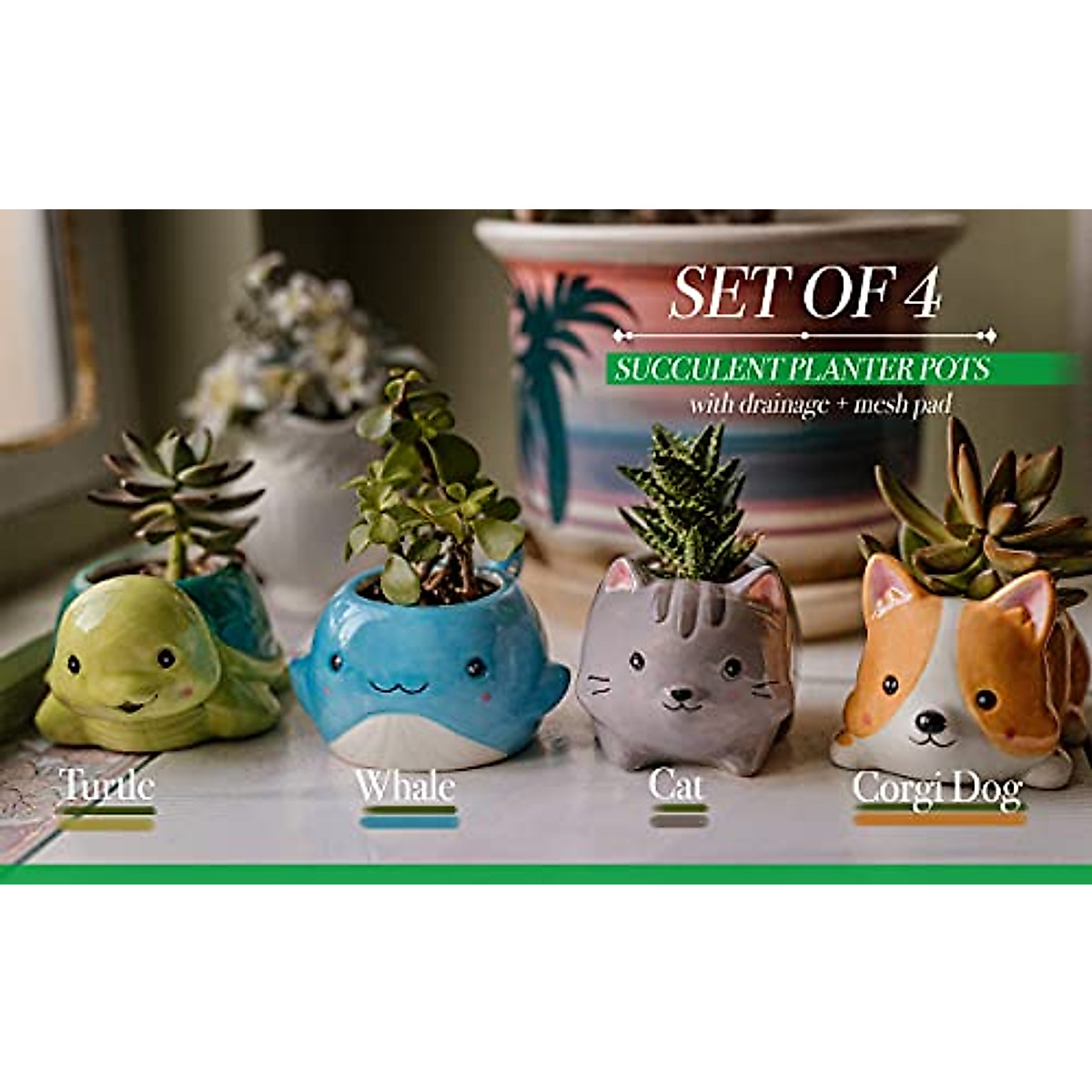 happyEase Succulent Planters - Cute Animal Succulent Pots with Drainage (Set of 4) - Dog Cat Whale Turtle - Small Planter Pot for Indoor Outdoor Decoration, Garden Decor, Indoor Planter, Garden Gifts