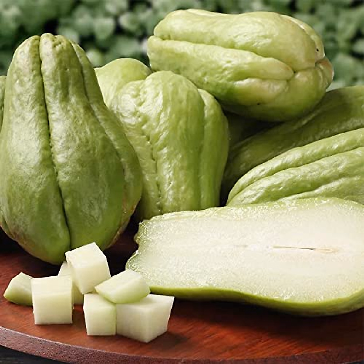 QAUZUY GARDEN- 20 Chayote Seeds Mirliton Choko Non-GMO Heirloom Perennial Vegetables Survival Gear Food Seeds Drought Tolerant Easy to Grow
