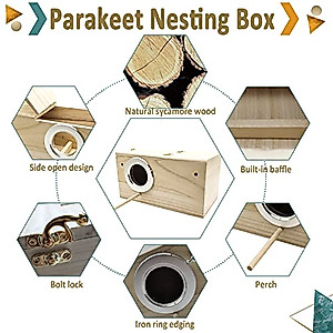 Hamiledyi Parakeet Nesting Box Wood Parrot Nest Breeding Box Kit Natural Bird House for Cage Budgie Breeder Box for Small Medium Lovebirds Conure Finch Cockatiel (5.12"×5.12"×9.84")
