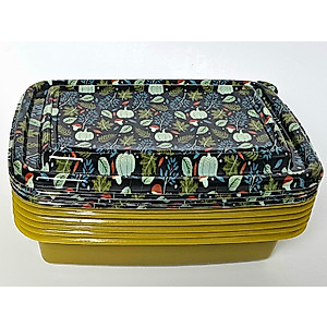 Fall Harvest Plastic Food Storage Containers, Set of 6 BPA Free Containers with Lids, 9 inches by 6 inches by 2 inches