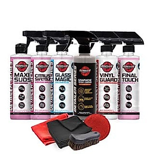 Renegade Products USA Tesla Detailing Kit - Car Wash Kit for Interior/Exterior Detail & Wash for Model S, Model 3, Model X, & Model Y