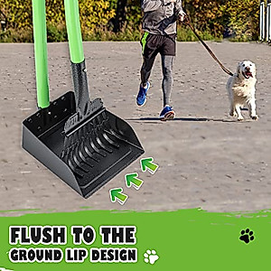 MXF Pooper Scooper, Dog Pooper Scooper Long Handle Stainless Metal Tray and Rake Set for Medium Small Dogs Heavy Duty - Use on Grass, Dirt or Gravel - Pet Supplies (Green)