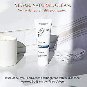Better & Better Purity Toothpaste | Fluoride Free, SLS Free Toothpaste for Sensitive Brushers | 1 CT | Fresh Breath with Organic Mints | Natural, Vegan, Whitening Toothpaste to Remove Plaque
