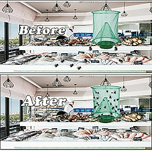 6Pack Ranch Fly Trap - Reusable Fly Trap with Tray for Indoor Outdoor Hanging Farms,Stable,Garden,Orchard,Park