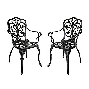 Christopher Knight Home Buddy Outdoor Cast Aluminum Dining Chair (Set of 2), Shiny Copper