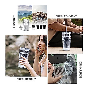 BLUEPOLAR 20oz/600ml Glass Cups With Lids and Glass Straws ，Thick Wall Iced Coffee Cup Glass Cup for Water, Iced Tea Fruit Juice Etc（Clear,2 Pack）