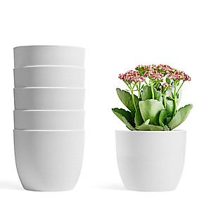 T4U 5 Inch Self Watering Planters Plastic Plant Pot, Modern Decorative Flower Pot/Window Box for All House Plants, Flowers, Herbs, African Violets, Succulents - White, Set of 6