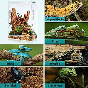 Reptile Terrarium Tank,Tarantula Enclosure 15’’x10’’x6’’ INKPET Acrylic Medium Feeding Tarantula Habitat Box for Hermit Crab,Leopard Gecko,Snake,Frog and Chameleon Cage(No Assembly Required)