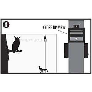 Nite Guard Solar NG-001 Predator Control Light,Single Pack, Black