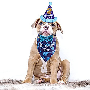 TCBOYING Dog Birthday Bandana, Dog Birthday Boy Hat Scarfs Flag Balloon with Cute Doggie Birthday Party Supplies Decorations(11-Piece Set) (Blue) (Style2, Blue)