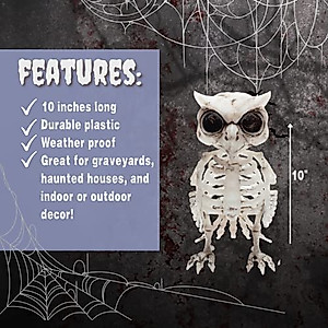 SCS Direct Owl Halloween Skeleton (2 Pack)-6.5" Long Weather Resistant Yard Fall Decorations-Graveyard Prop for Haunted House Party Decor and Indoor/Outdoor Use, School Classroom Decoration