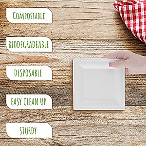 brheez 6-in Disposable Plates (60 Pack) - Eco-Friendly, Compostable Heavy Duty Square Paper Plates - 100% Natural Sugarcane Bagasse Fibre