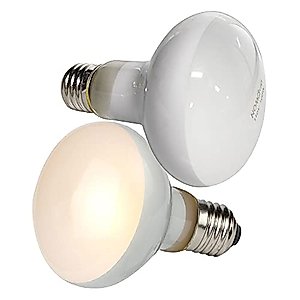 Abustle pig Basking Spot Daylight Lamp 75W UVA Heat Bulb Soft White Light Glass Basking Bulb Heat Lamp for Bearded Dragon, Reptile & Amphibian(2 Pack)