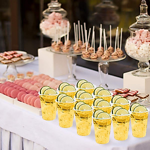 Turbo Bee 500 Pack 5 OZ Clear Plastic Cups，Disposable Mouthwash Cups,5 Ounce Cups-Party Cups Ideal for Whiskey, Drinking Tasting, Food Samples