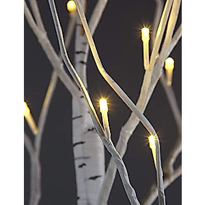 LIGHTSHARE 4 feet 6 feet and 8 Feet Birch Tree,Warm White, for Home,Pack of 3, Festival, Party, and Christmas Decoration, Indoor and Outdoor Use