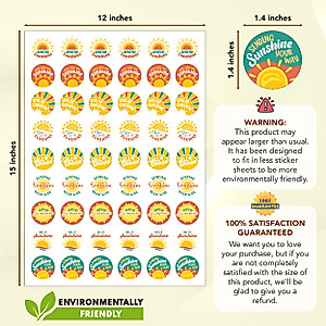 1,080 Sunshine Stickers Bulk - 20 Sheets Sun Stickers for Kids, You are My Sunshine Stickers, You are My Sunshine Sticker, Sending Sunshine Stickers, Positive Stickers for Kids, Happy Stickers