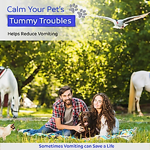 Pet Essences - Vomiting Formula for Dogs, Cats & Horses, 1oz - Natural Flower Essences for Chronic Cat Vomit Due to Fear and Trauma - Easy to Use and Safe for All Ages & Breeds