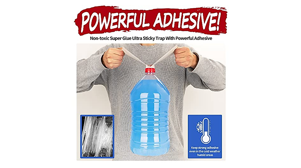 LULUCATCH Cricket Insect Glue Traps - Safe & Effective Bug Control