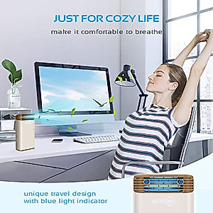 Raycono Pluggable Small Air Purifier, Small Room Wall Air Sanitizer for Pets, Office, Kitchen, Ozone Free, Removal of Odors, Dust, Portable Mini Air Cleaner