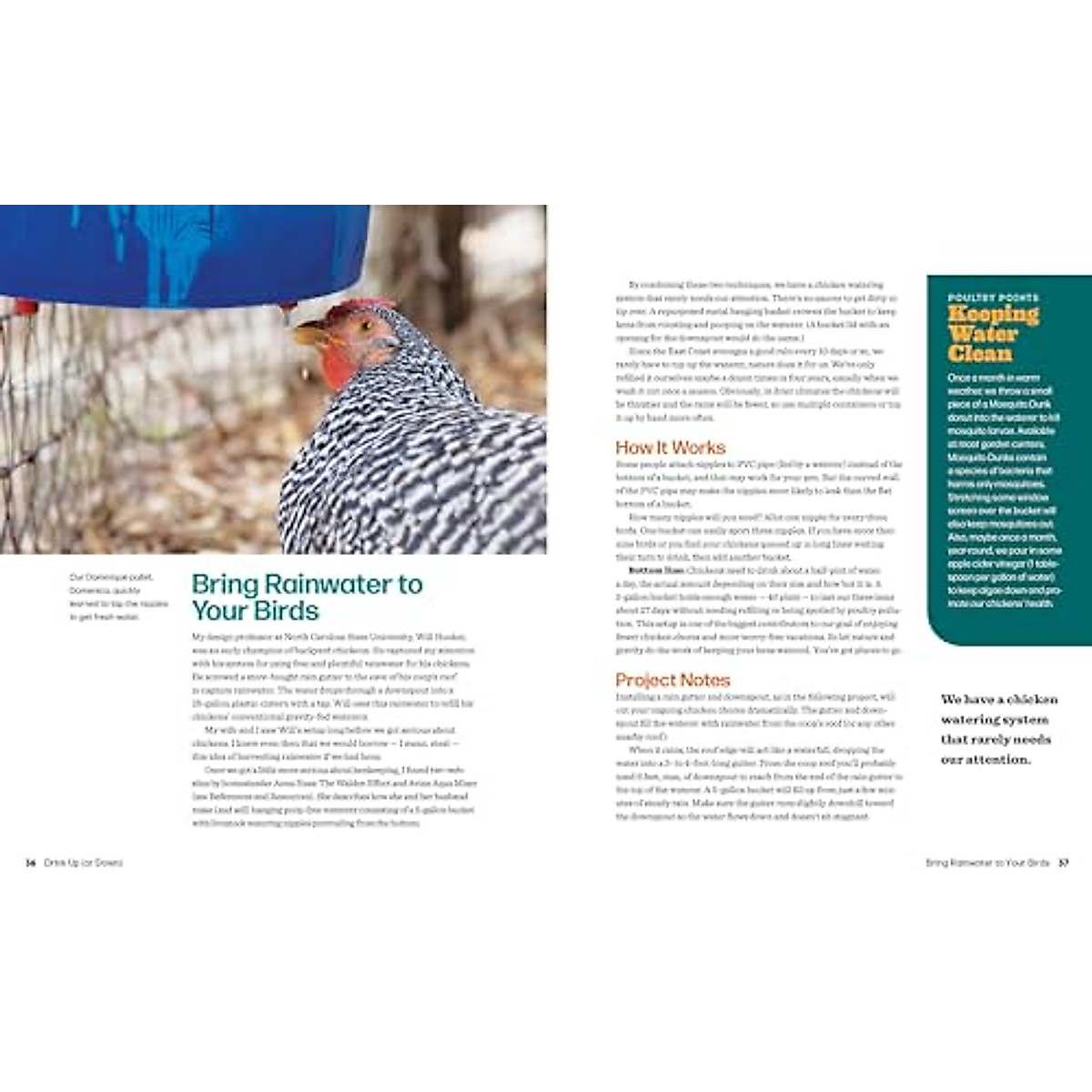 Hentopia: Create a Hassle-Free Habitat for Happy Chickens; 21 Innovative Projects