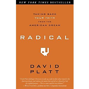 Radical: Taking Back Your Faith from the American Dream
