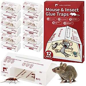 LULUCATCH Sticky Mouse Traps, 12 Pack Pre-baited Glue Traps, Foldable Bulk Non-Toxic Indoor Mouse Glue Boards for Insects, Cockroach, Lizard, & Spider, Pet Child Safe & Easy to Use Pest Control