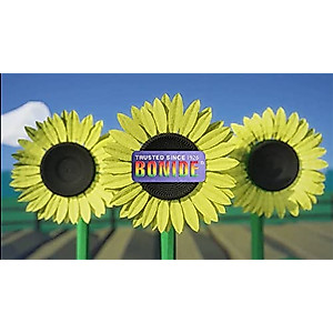 Bonide Captain Jack's Deadbug Brew Dust 1.5 lb (Multipack of 3)