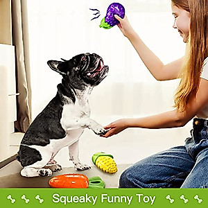 Squeaky Dog Toys for Aggressive Chewers Large Medium Small Breed, Dog Chew Toys for Aggressive Chewers, Indestructible Tough Durable Dog Toys Pack with 3 Squeaky Toys and 1 Ring Toy, Best Dog Gifts