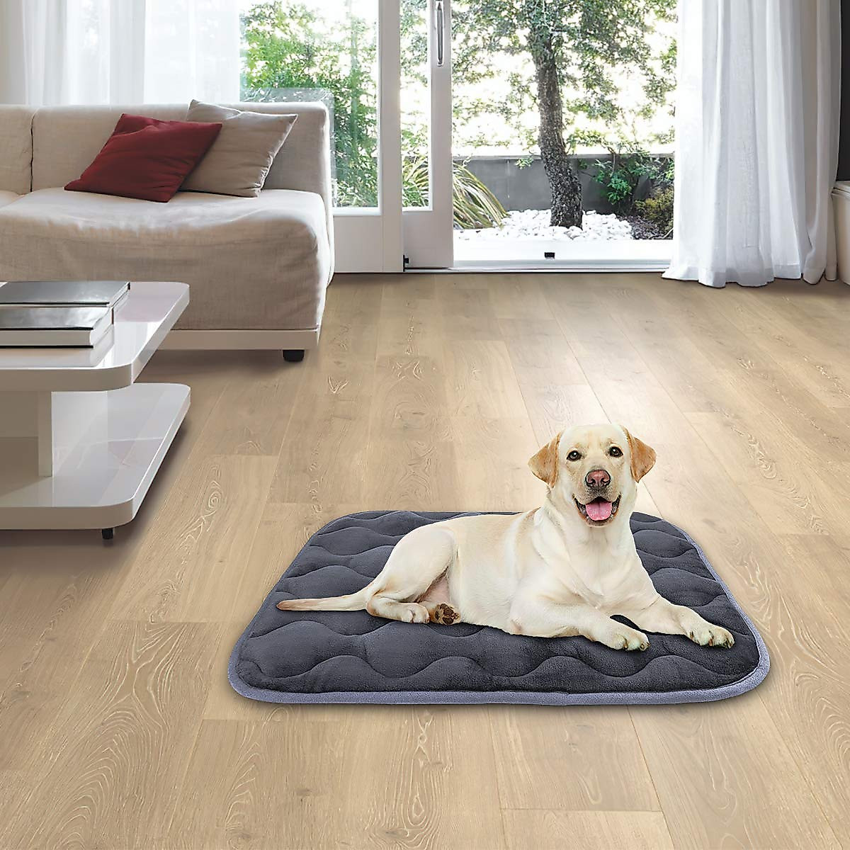 AIPERRO Fluffy Dog Beds for Small Dogs Crate Cushion Mat Machine Washable Anti-Slip Pets Sleeping Pads for Small Medium Large Dogs and Cats, 23 x 18 Inch