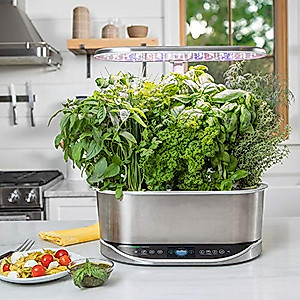 AeroGarden Harvest with Gourmet Herb Seed Pod Kit - Hydroponic Indoor Garden, White & Grow Anything Seed Pod Kit for Hydroponic Indoor Garden, 9-Pod