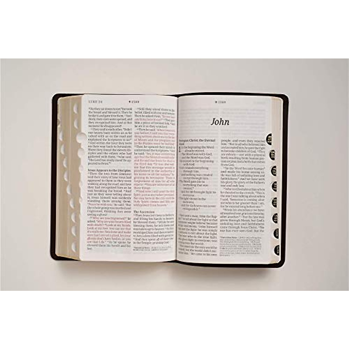 NLT Personal Size Giant Print Bible, Filament-Enabled Edition (LeatherLike, Black/Onyx, Indexed, Red Letter): Includes Free Access to the Filament ... Notes, Devotionals, Worship Music, and Video