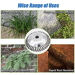 QHALEN 8 Inches Heavy Duty Steal Wire Brush Cutter Trimmer Head with Adapter Kit for String Trimmers, Rust Removal, Lawn Mower