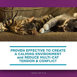 Comfort Zone Basic Multicat Refills for Cat Calming (2 Pack)