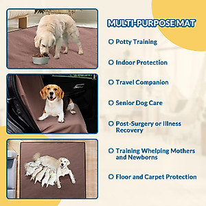 Barpor 48" x 66" Washable Dog Pee Pads Reusable Non-Slip - Puppy Pads Indoor Potty Training Leakproof, Whelping Pads for Floor, Bed, Crate, Cadges, Playpen, Couch Waterproof, Coffee