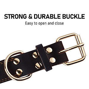 Leather Dog Collar for Medium Dogs with Braided Leather Dog Leash 6 Foot x 1/2"