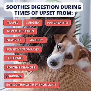 Under the Weather Bland Diet for Dogs | Easy to Digest Stomach Support for Sick Dogs | Contains Electrolytes, All Natural | 1 Pack - Turkey, Oatmeal, Sweet Potato & Slippery Elm for Dogs - 6oz