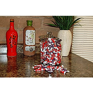 Tootsie Roll Frooties 3 Flavor Mix-Fruit Punch-Grape-Watermelon-1.75 LB Assortment of Chewy Taffy-Individually Wrapped - Bulk Variety Pack Enclosed in a Secured Heat Sealed Bag by Snack Hotline