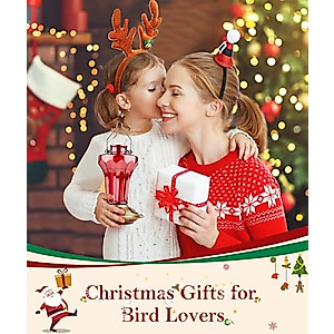 BOLITE 18018-R Hummingbird Feeder, Glass Hummingbird Feeder for Outdoors, Tower Shape Bottle, 20 Ounces, Red