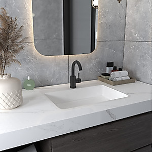 Bathfinesse Bar Sink Faucet Matte Black Bathroom Kitchen Faucet Small Prep Wet Mini Faucet for Campers Outdoor Vanity 360 Swivel Modern Single Hole with 3 Hole Cover Deck Plate,Stainless Steel