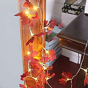 LIUPENGWEI Christmas String Lights, 3M, 20 LED Fairy Lights Theme Maple String Lights Home Decoration Fall Garden Garden Ghost Light