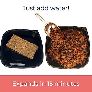 Snout and Shell Coco Chip Reptile & Amphibian Bedding 1.1 lb - Perfect for Snakes, Lizards & Tortoises Tunneling - 100% Organic Coconut Chip - 500 Grams