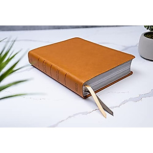 RVR 1960 Biblia ilustrada de la Tierra Santa, café símil piel con índice / RVR 1960 Holy land Study Bible, brown LeatherTouch Indexed (Spanish Edition)