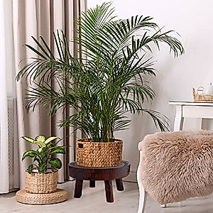 Mini Wooden Stool Display Stand Potted Plant Shelf Succulents Bonsai Rack, Wood Grain Flower Pot Holder Potted Rack Planter Supports Plant Holder Indoor Outdoor for Home, Garden, Patio Decor(Black S)