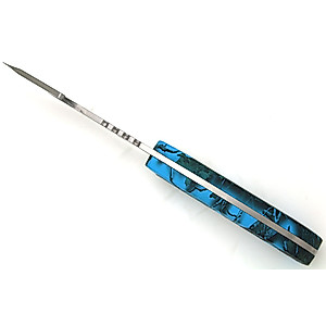 Snake Eye Tactical Skinner Fixed Blade Knife w/Gut Hook Blade 8.5" Overall Camping Hunting Fishing Outdoors (Blue)