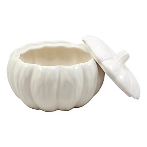 Ebros Gift Ceramic Stoneware White Harvest Pumpkin Bowl With Lid 6" Diameter (1)