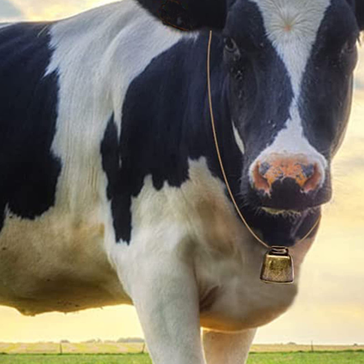 8 Pack Cow Horse Sheep Grazing Copper Bells, Small Metal Brass Bells, Loud Ringing Cowbell Noisemakers, Hanging Jingle Bell for Animal Pet Collar Doors Crafts Christmas Wedding Decor (Bronze)