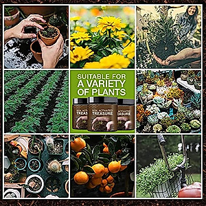 Soil Activated Treasure-You Will Be Amazed! Premium Soil Activated Treasure, Soil Plant Flower Fertilizer, Soil Activator for Raised Garden Beds, Potting Mix, Lawns and Gardens (2pcs)
