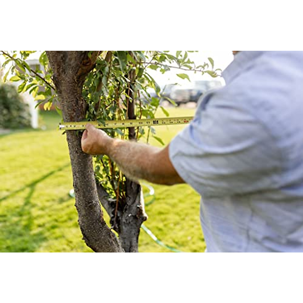 Native Earth ArborVive Fertilizer, 5-4-2, Tree Food, Shrub Fertilizer, Tree Enhancement, 64oz