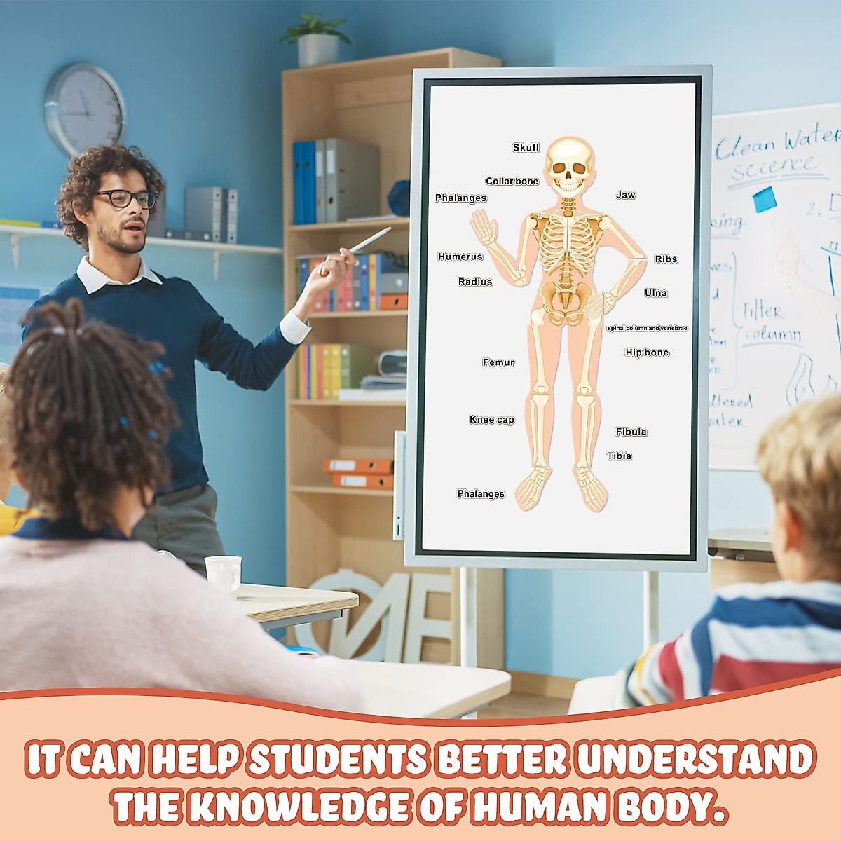 Capoda 63 Pieces Human Body Magnetic Puzzle Set Human Skeleton Organs Muscles Anatomy Magnetic Accents Body Parts Recognition Learning Kit for Home Decoration